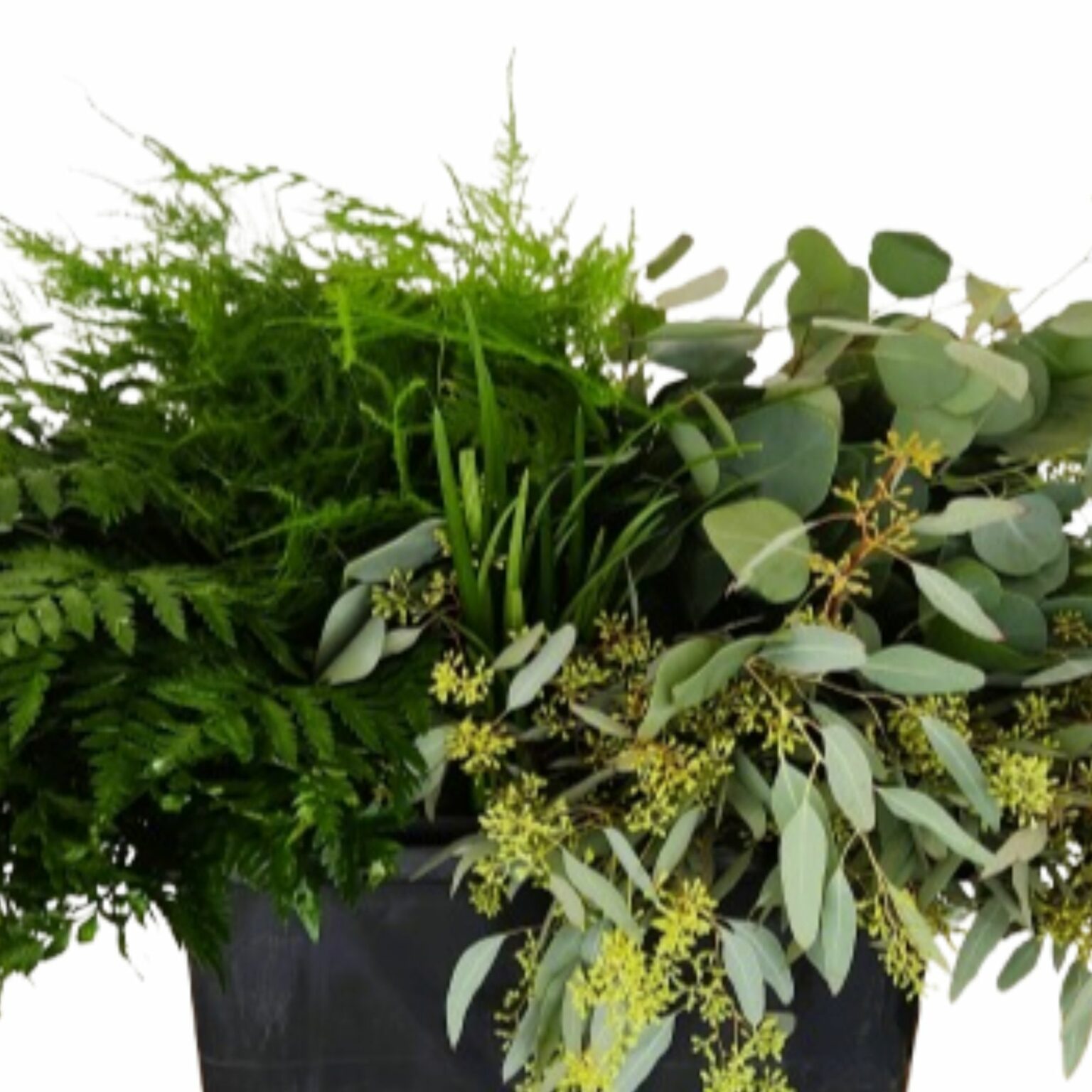Mixed Greenery Boxes – Albin Hagstrom & Son