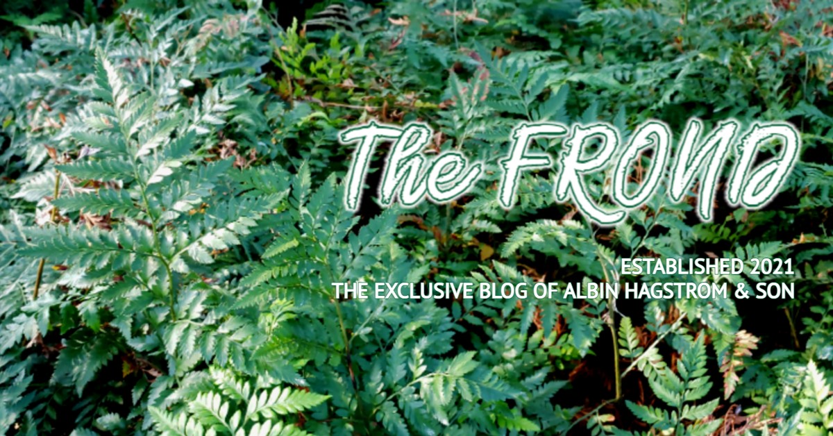 Our Online Store is NOW OPEN