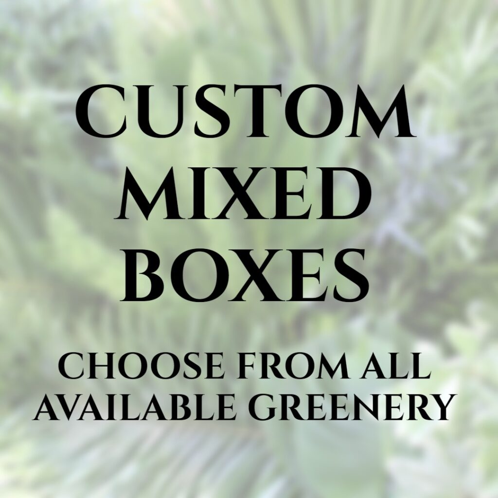 Mixed Greenery Boxes - Albin Hagstrom & Son