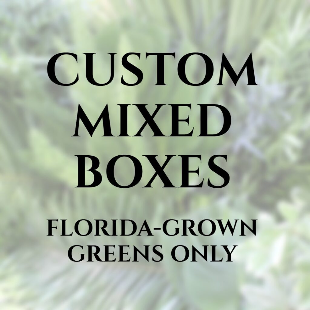 Mixed Greenery Boxes - Albin Hagstrom & Son