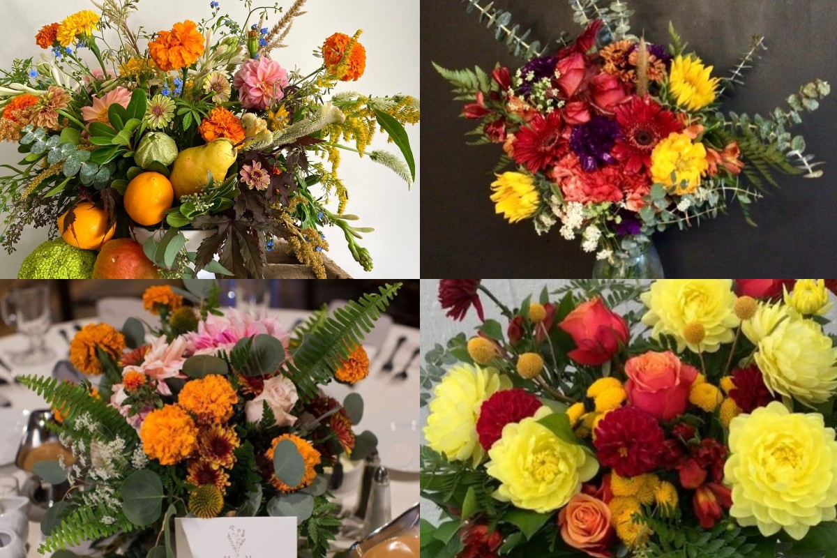 Friday Funday – Fresh for Fall